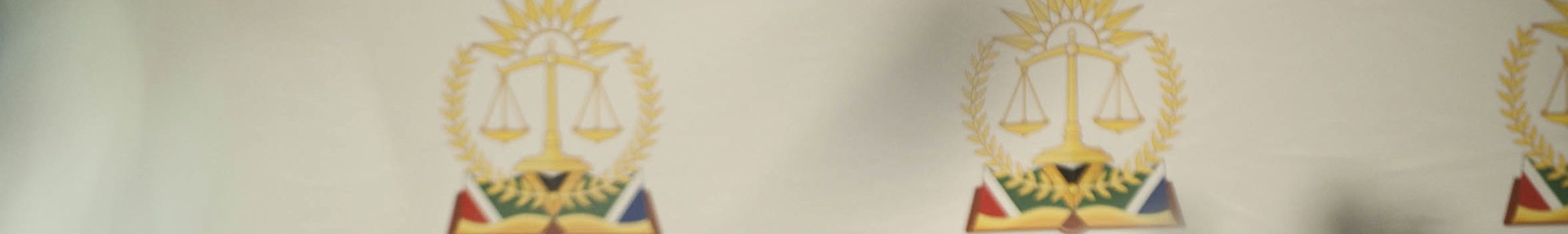 MPUMALANGA DIVISION OF THE HIGH COURT