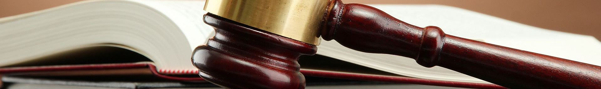 MPUMALANGA DIVISION OF THE HIGH COURT